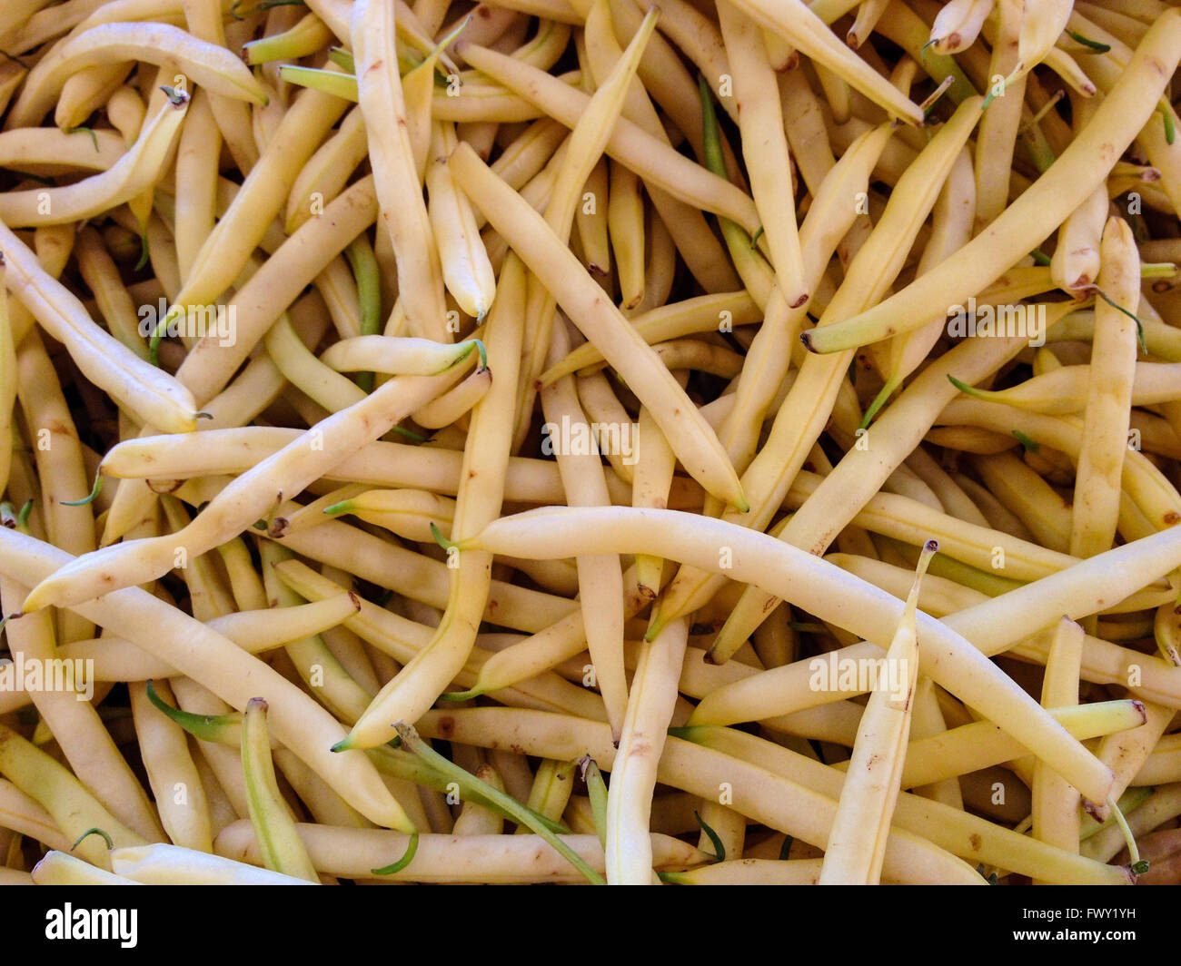 Long yellow beans Stock Photo - Alamy