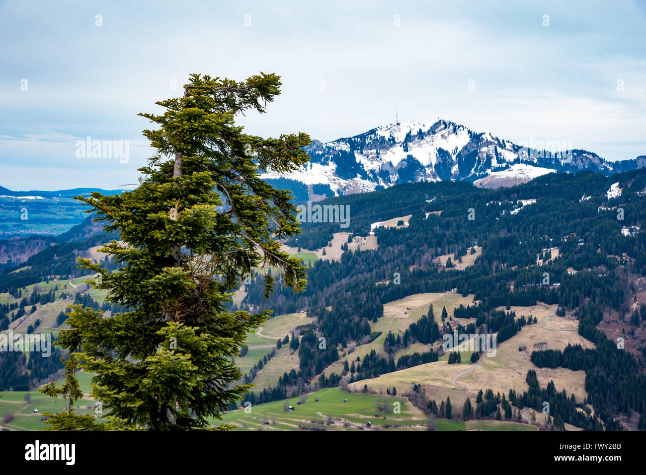 Mountain forest under sunlight hi-res stock photography and images - Alamy