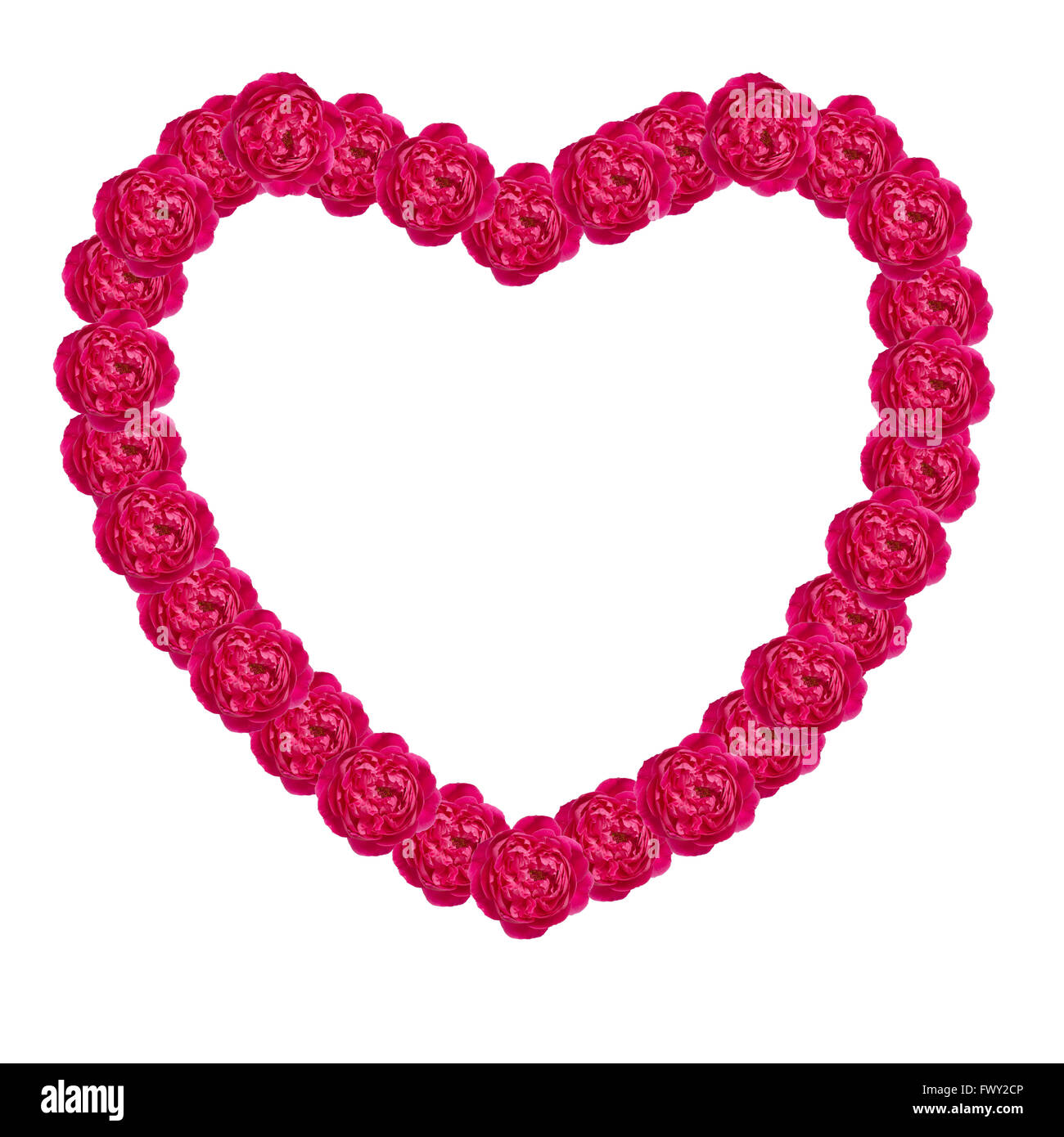 Damask rose heart frame isolated on white background Stock Photo - Alamy