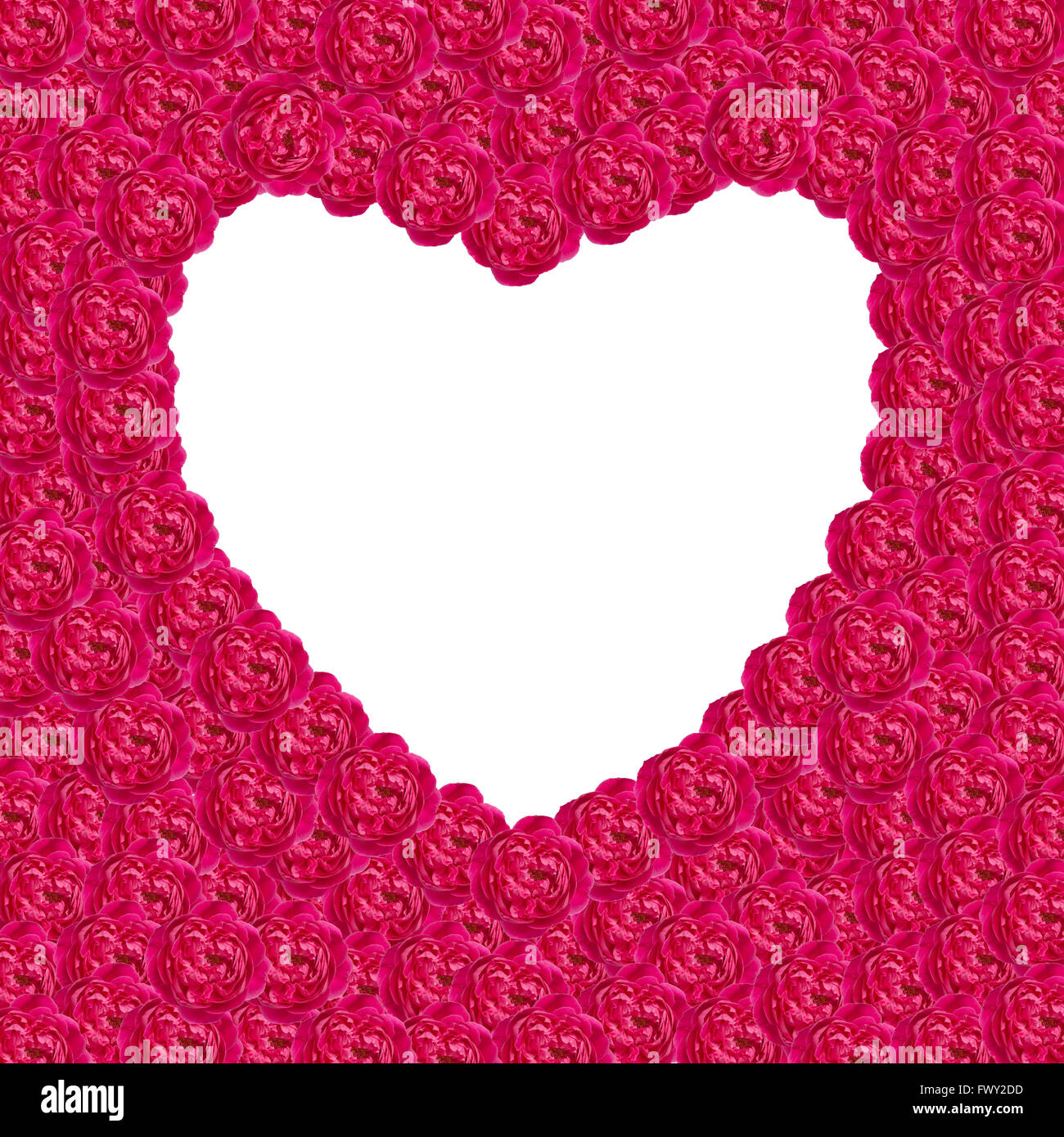 Damask rose heart frame isolated on white background Stock Photo - Alamy