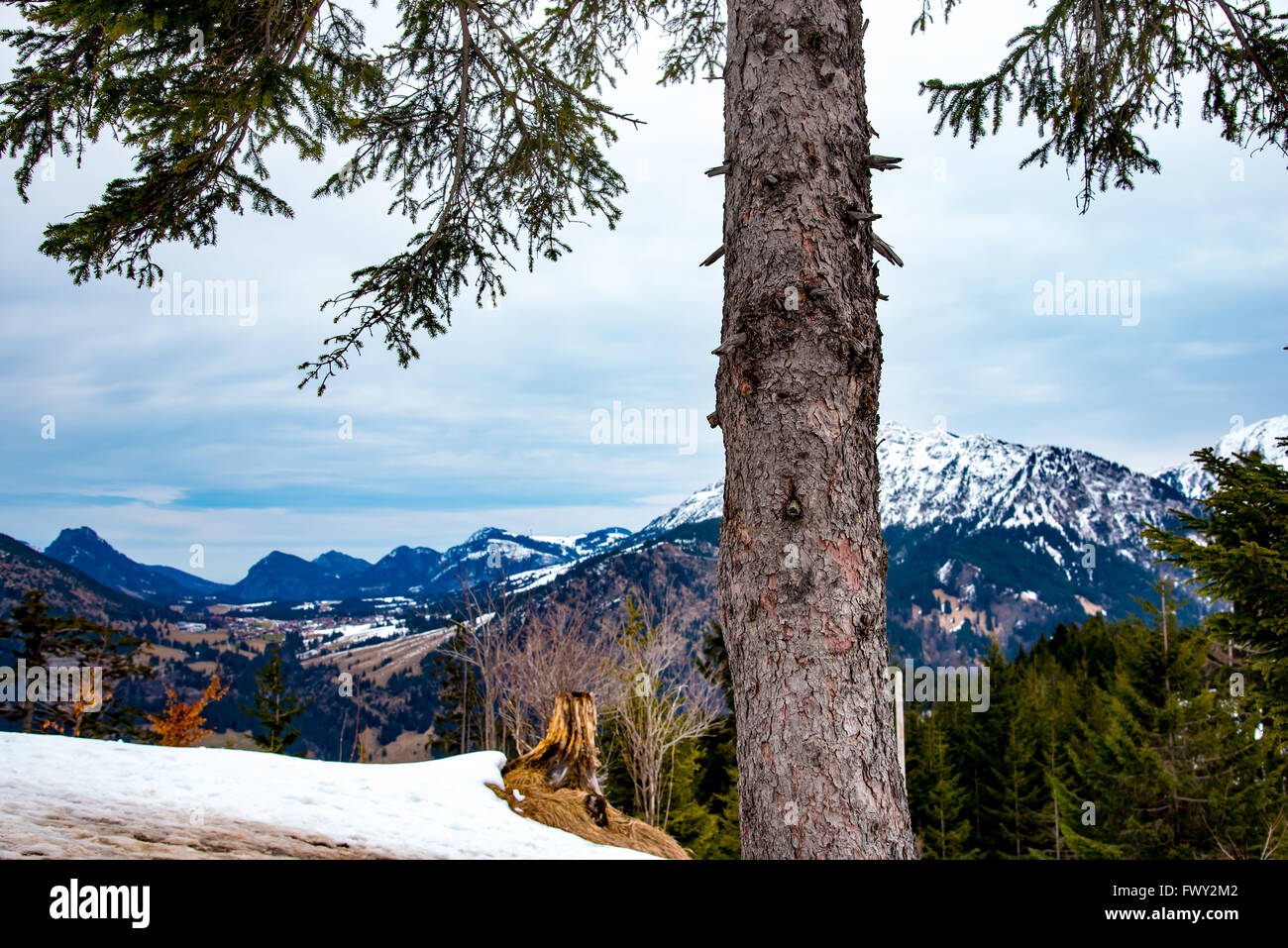Forest in bavaria hi-res stock photography and images - Alamy