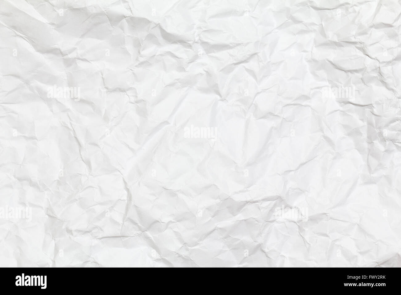 White creased paper background texture. White paper sheet Stock Photo ...