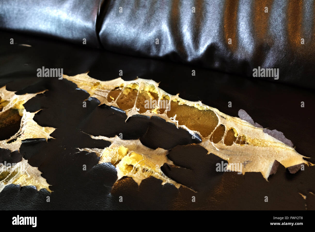 Sofa garbage interior hi-res stock photography and images - Alamy
