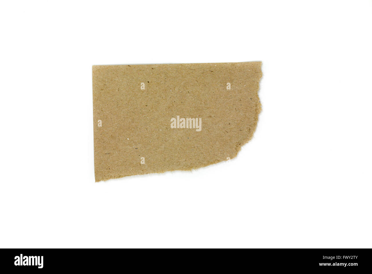 brown ripped pieces of paper on white background Stock Photo - Alamy