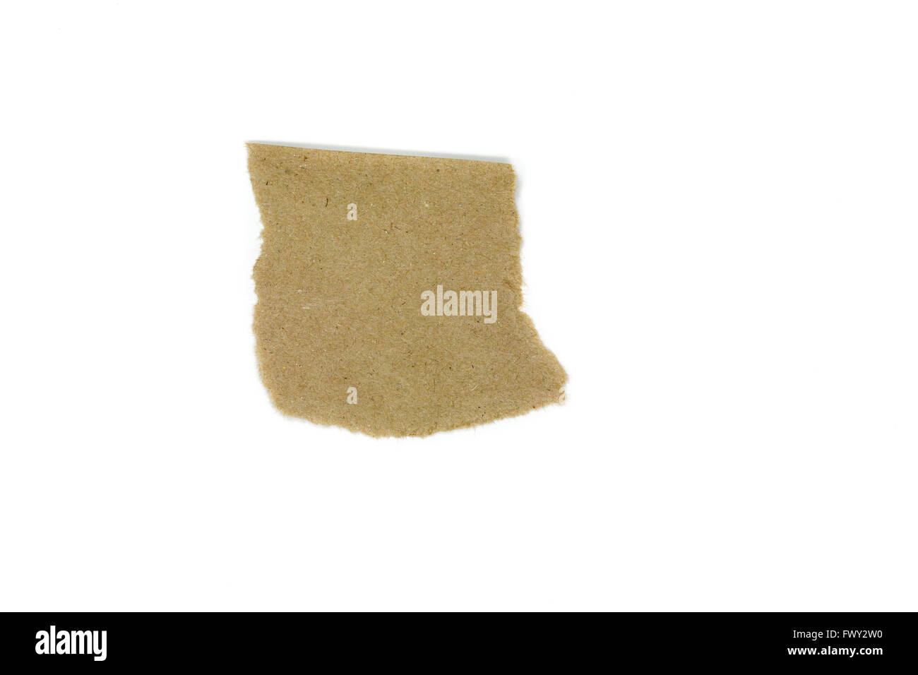 brown ripped pieces of paper on white background Stock Photo - Alamy