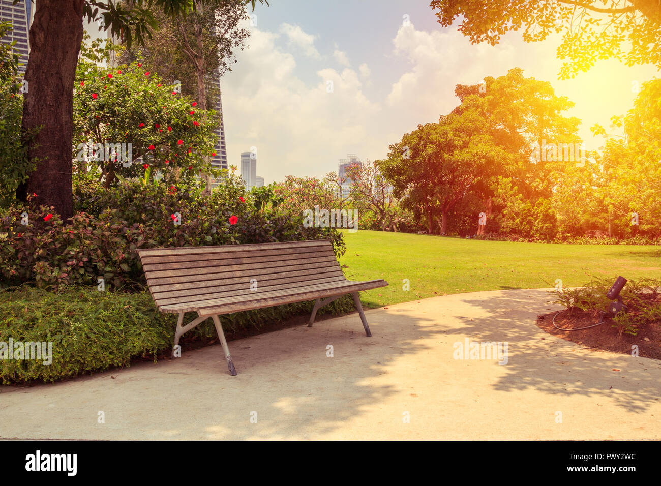 Bench under the tree in the park Stock Photo - Alamy