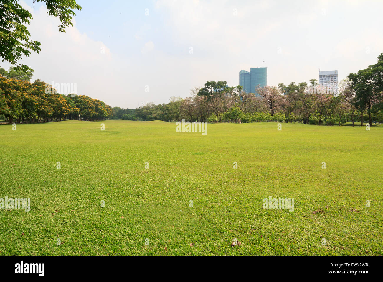 City park under blue sky with building background Stock Photo - Alamy