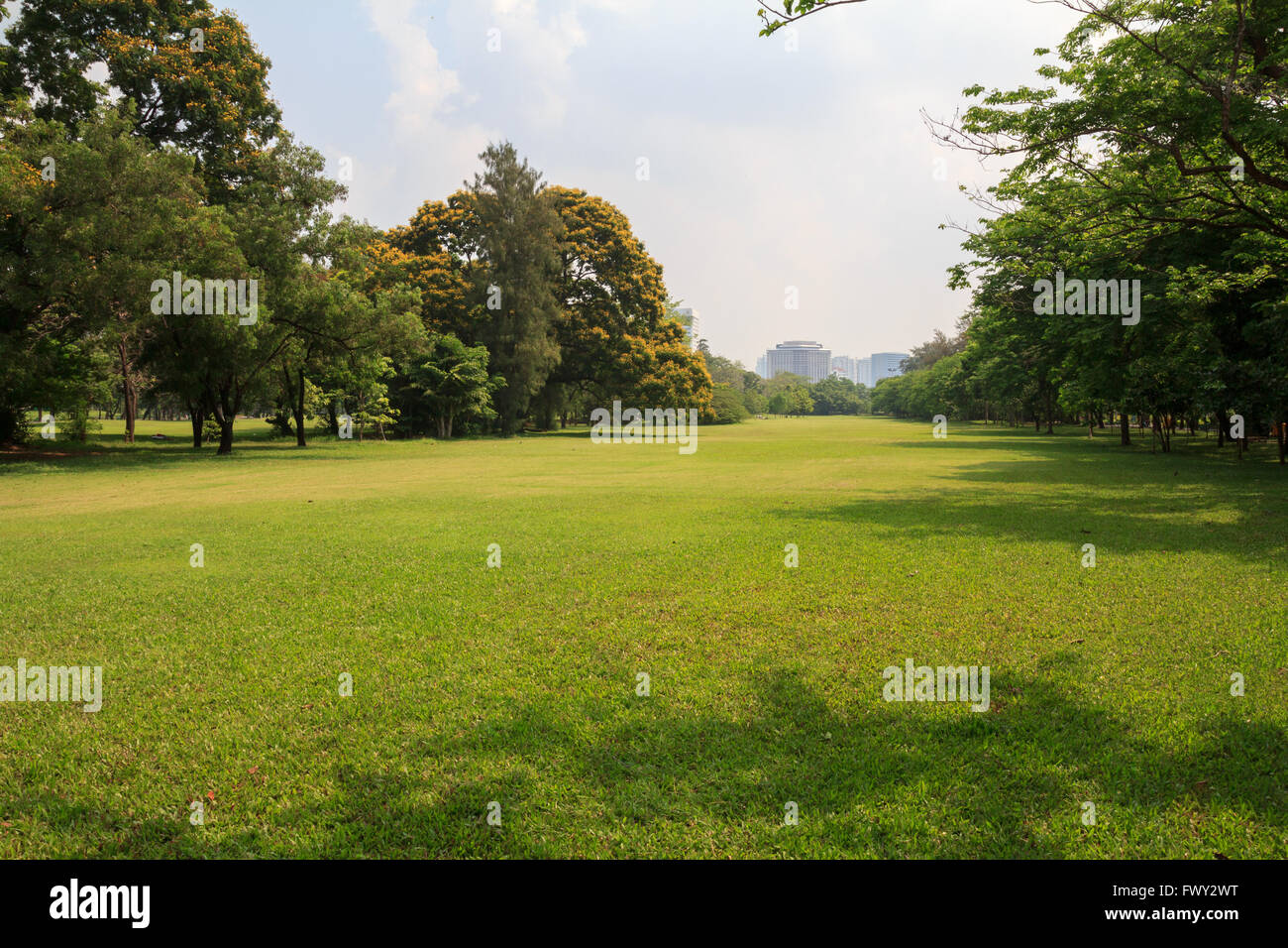 City park under blue sky with building background Stock Photo - Alamy