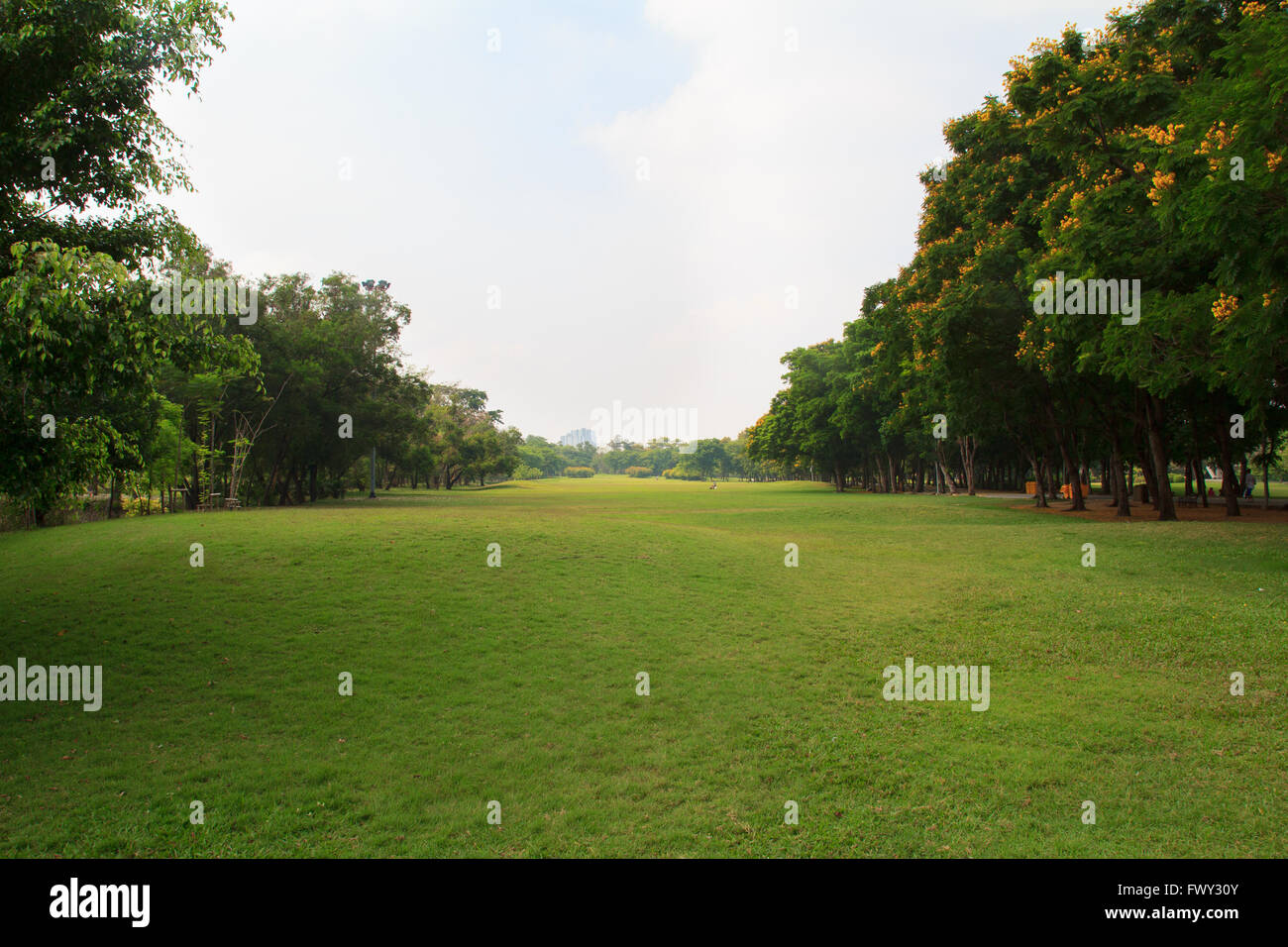 Green grass field in big city park Stock Photo - Alamy