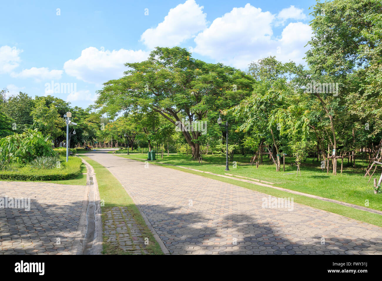 Big grass field hi-res stock photography and images - Alamy