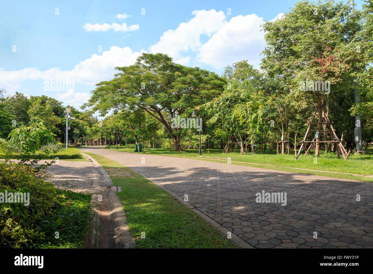 Green grass field in big city park Stock Photo - Alamy