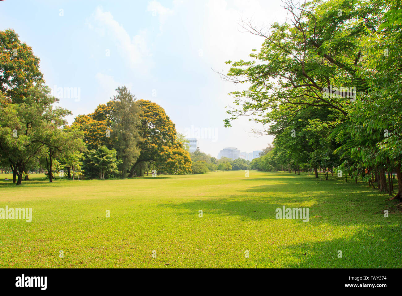 Green grass field in big city park Stock Photo - Alamy