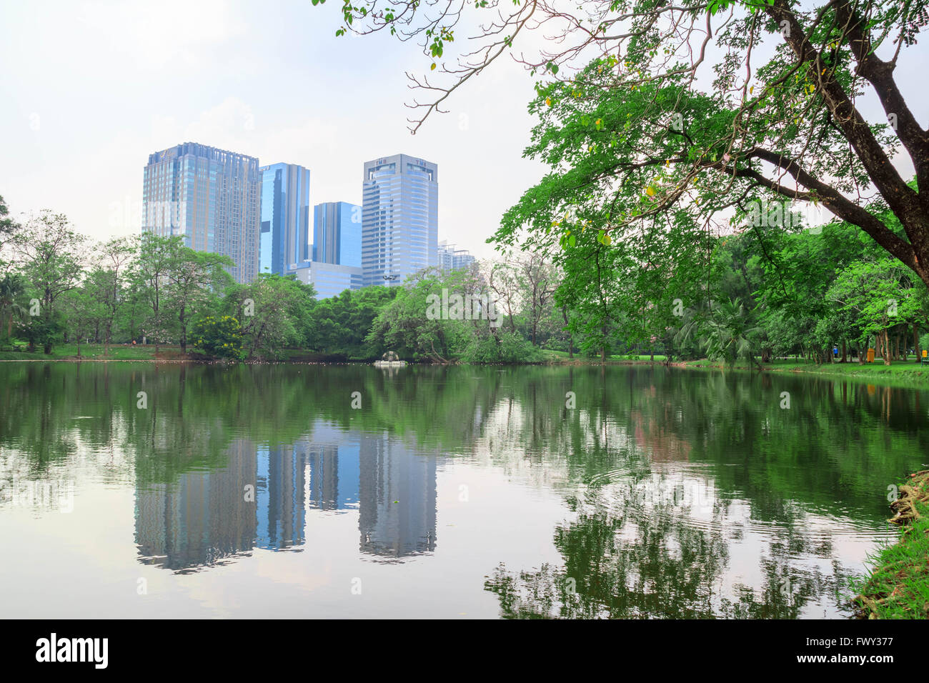 Green grass field in big city park Stock Photo - Alamy