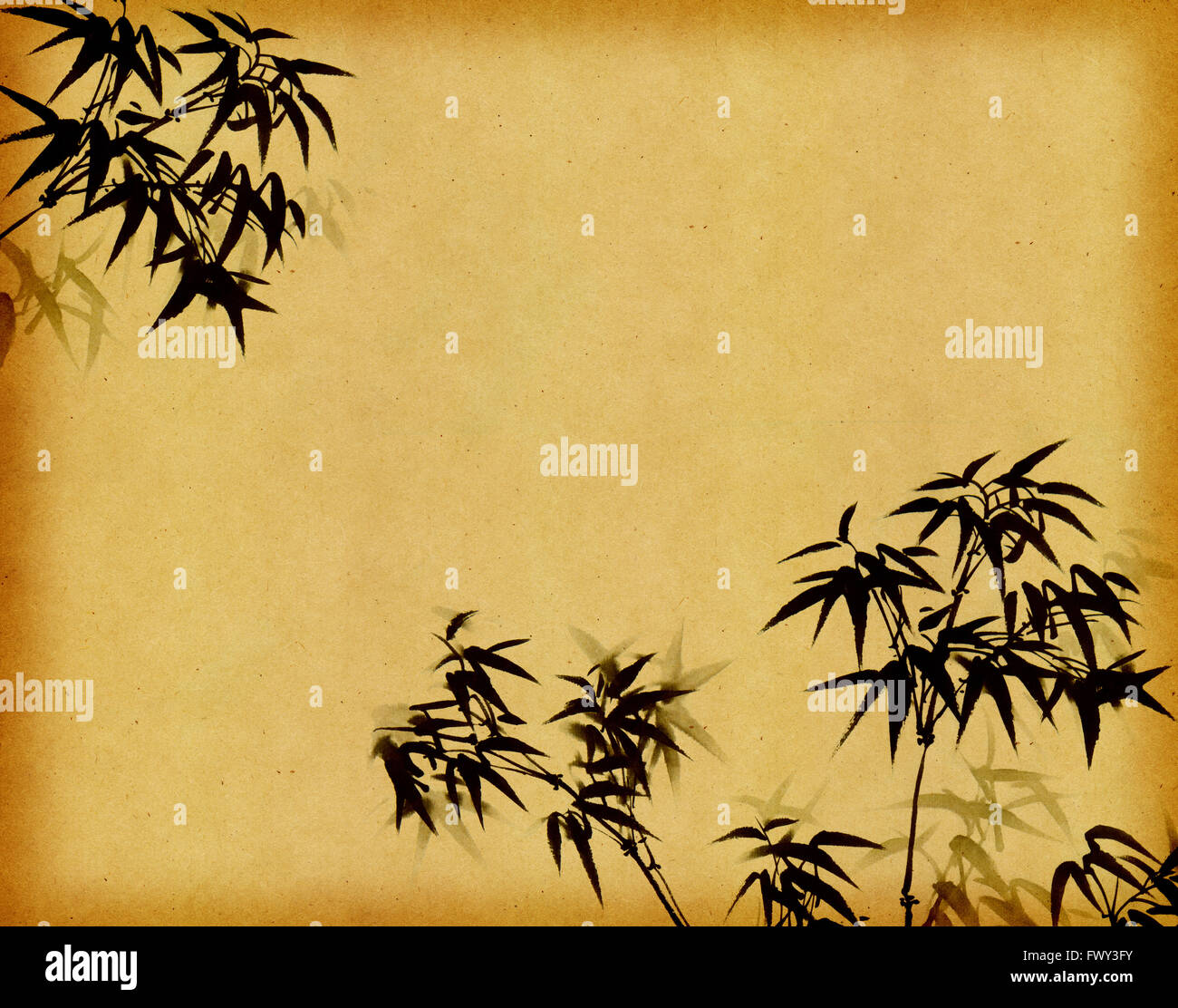 Bamboo paper texture hi-res stock photography and images - Alamy