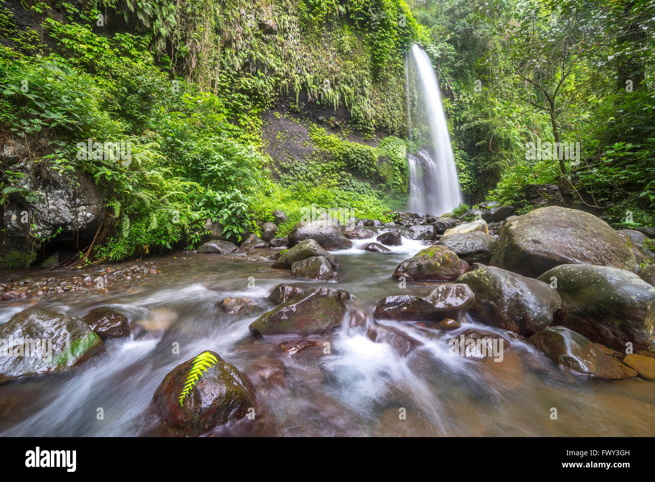Tiu Kelep waterfall near Rinjani, Senaru, Lombok, Indonesia, Southeast ...