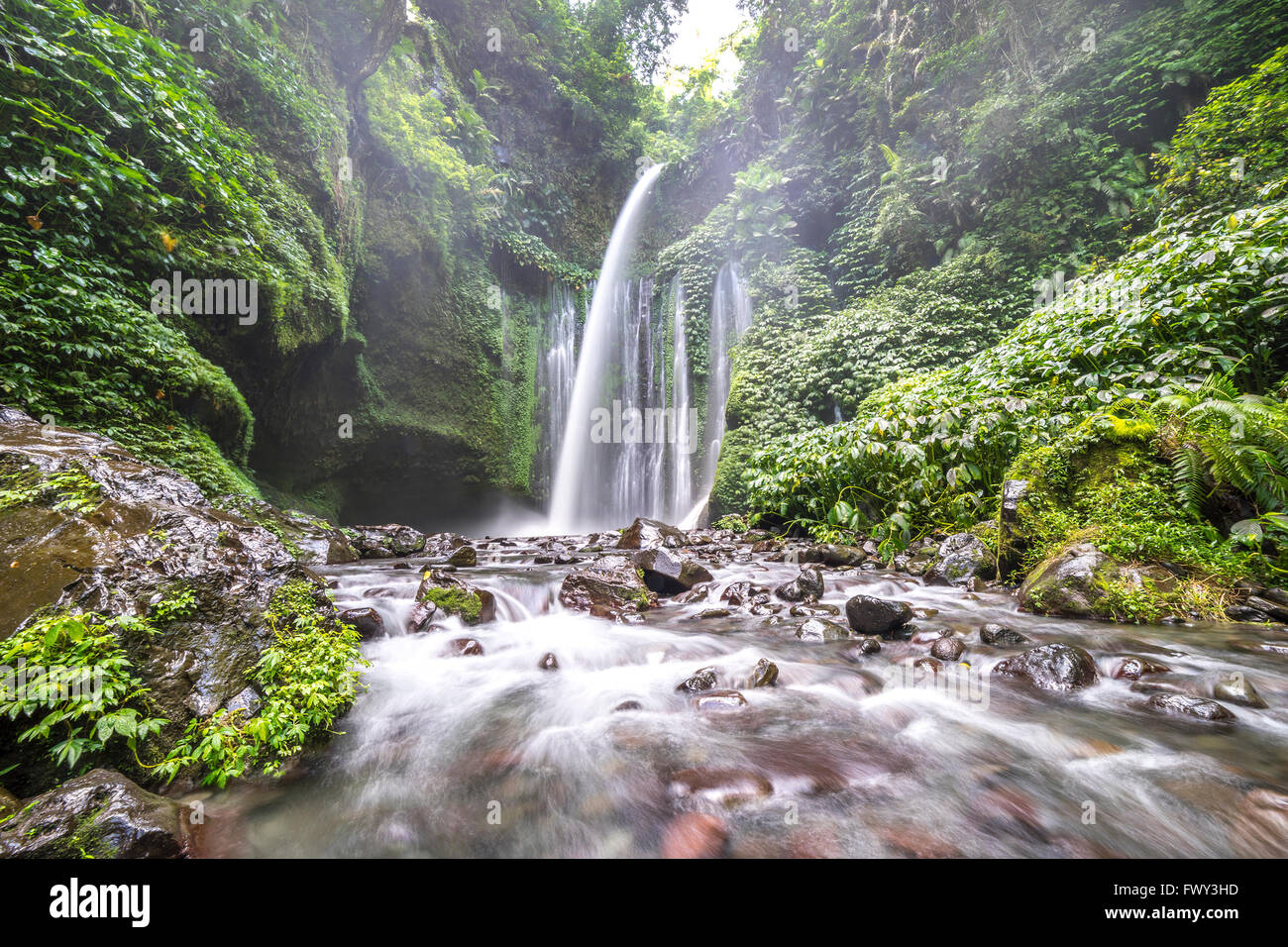 Tiu Kelep waterfall near Rinjani, Senaru, Lombok, Indonesia, Southeast ...