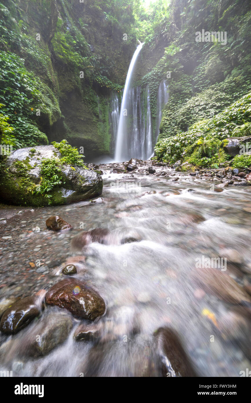 Tiu Kelep waterfall near Rinjani, Senaru, Lombok, Indonesia, Southeast ...