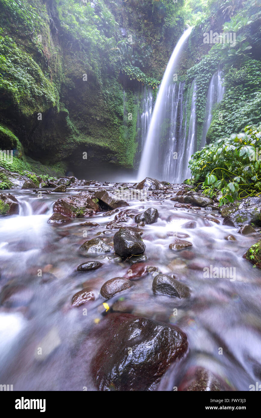 Tiu Kelep waterfall near Rinjani, Senaru, Lombok, Indonesia, Southeast ...