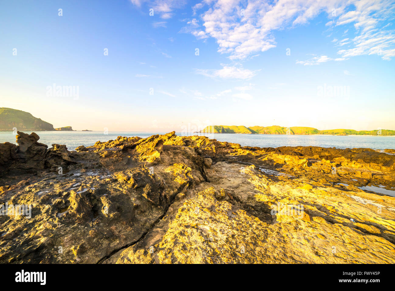 Texture of beach rock with nature sunlight Stock Photo - Alamy