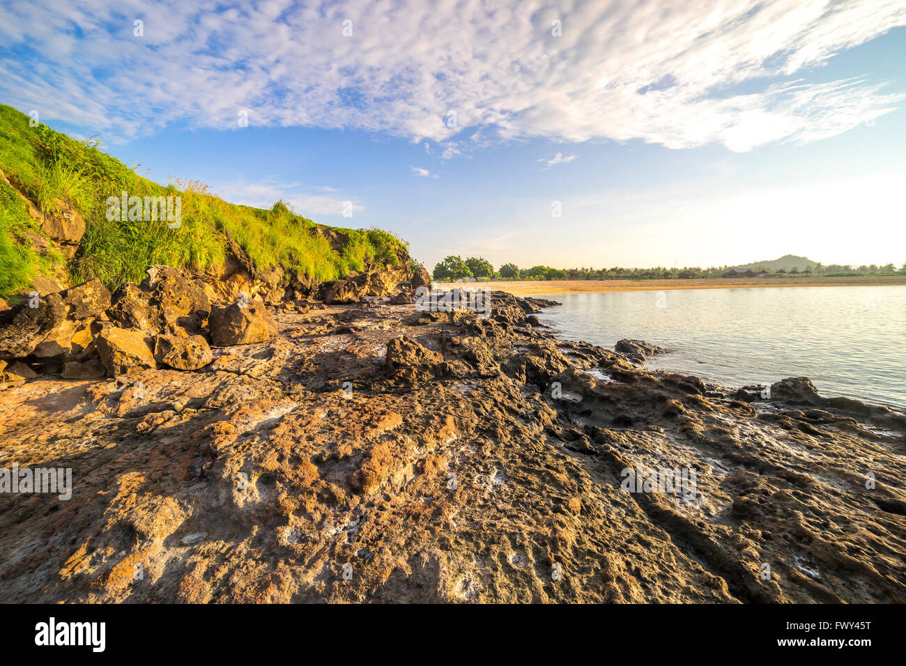 Texture of beach rock with nature sunlight Stock Photo - Alamy