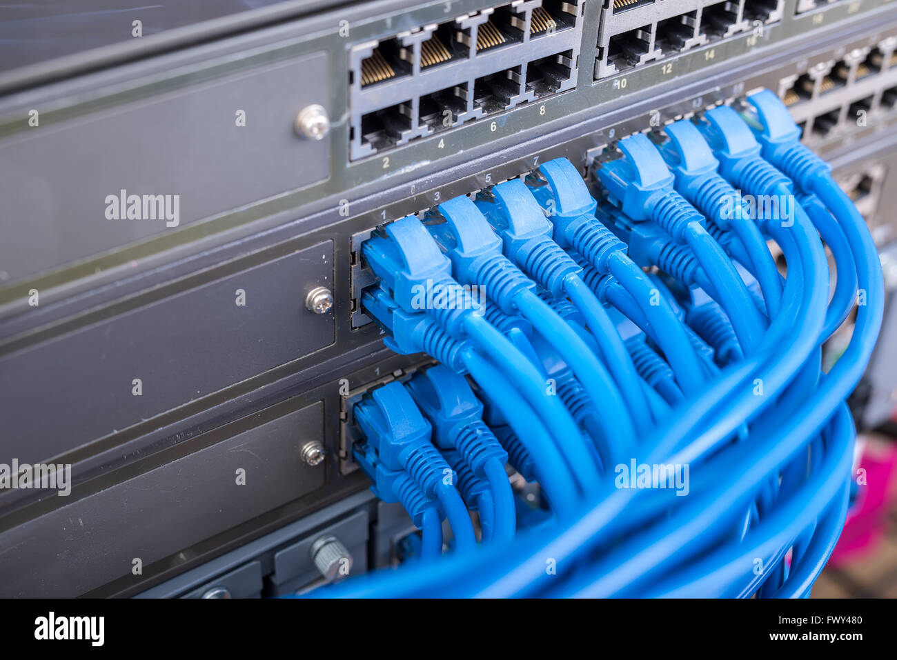 Network switch and ethernet cables,Data Center Concept Stock Photo - Alamy