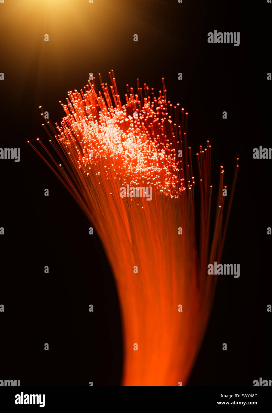fiber optical network cable Stock Photo - Alamy