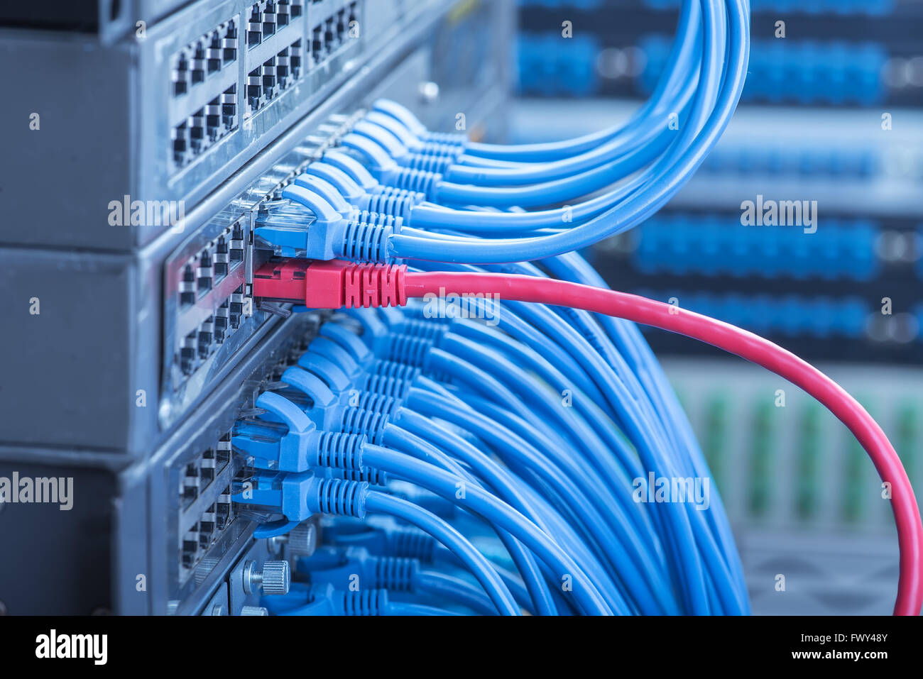 Network switch and ethernet cables,Data Center Concept Stock Photo - Alamy
