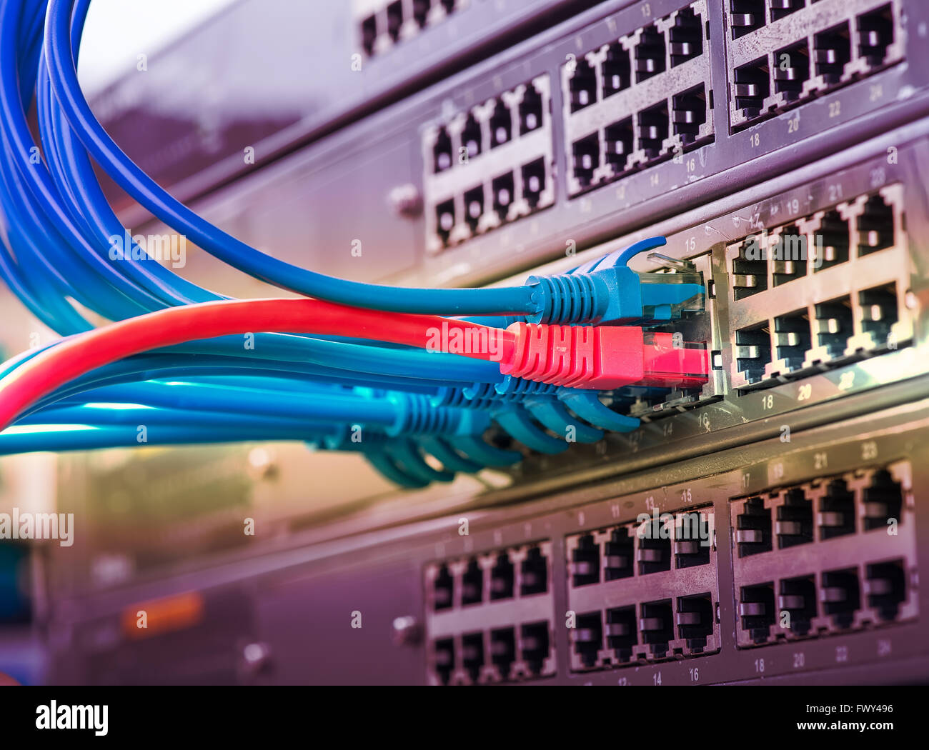 Network switch and ethernet cables,Data Center Concept Stock Photo - Alamy