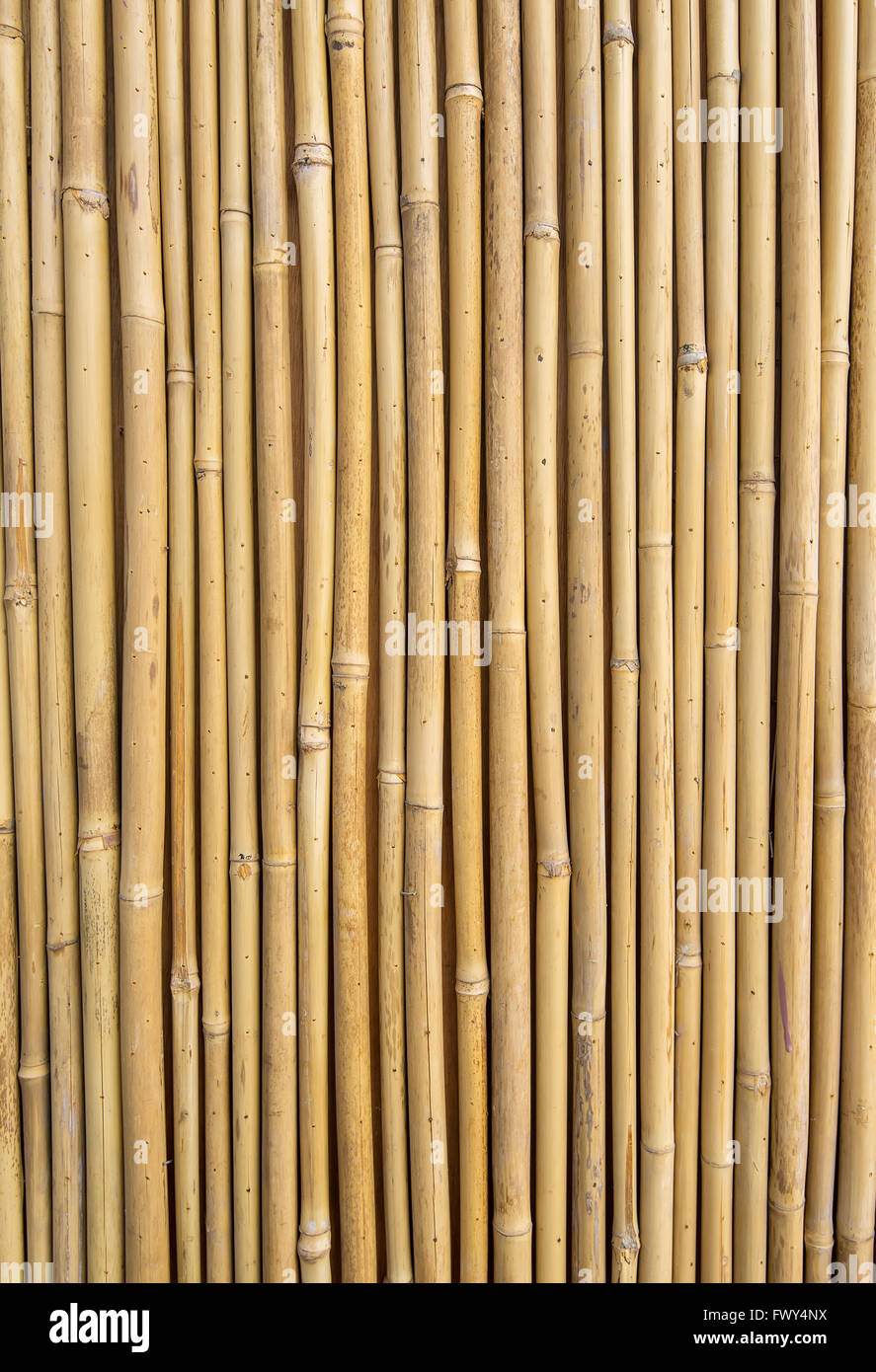 bamboo fence background Stock Photo - Alamy