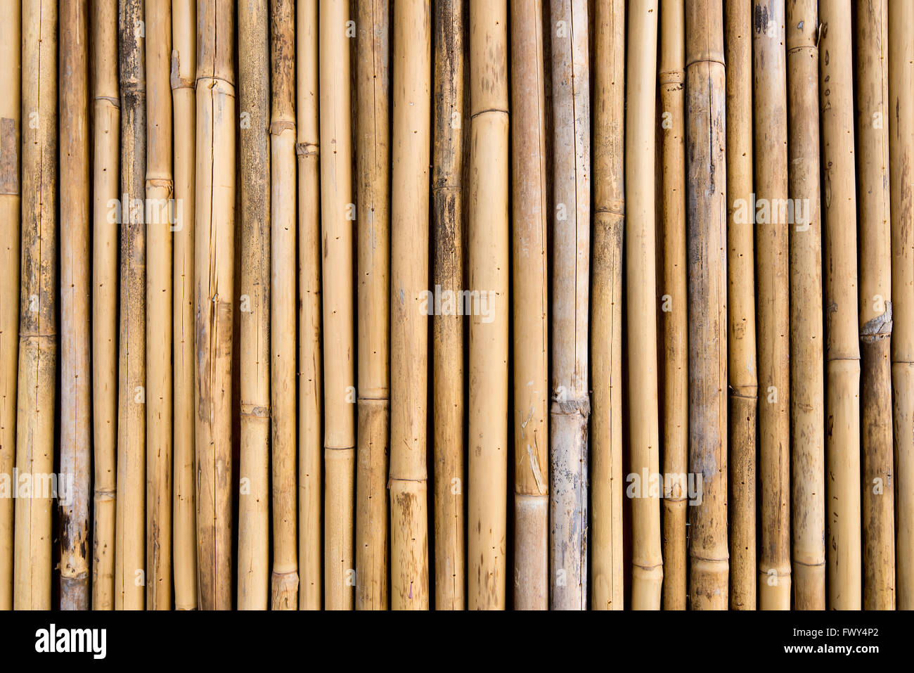 bamboo fence background Stock Photo - Alamy