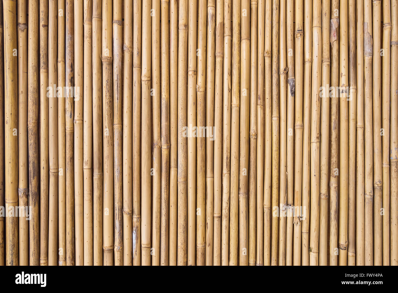 bamboo fence background Stock Photo - Alamy