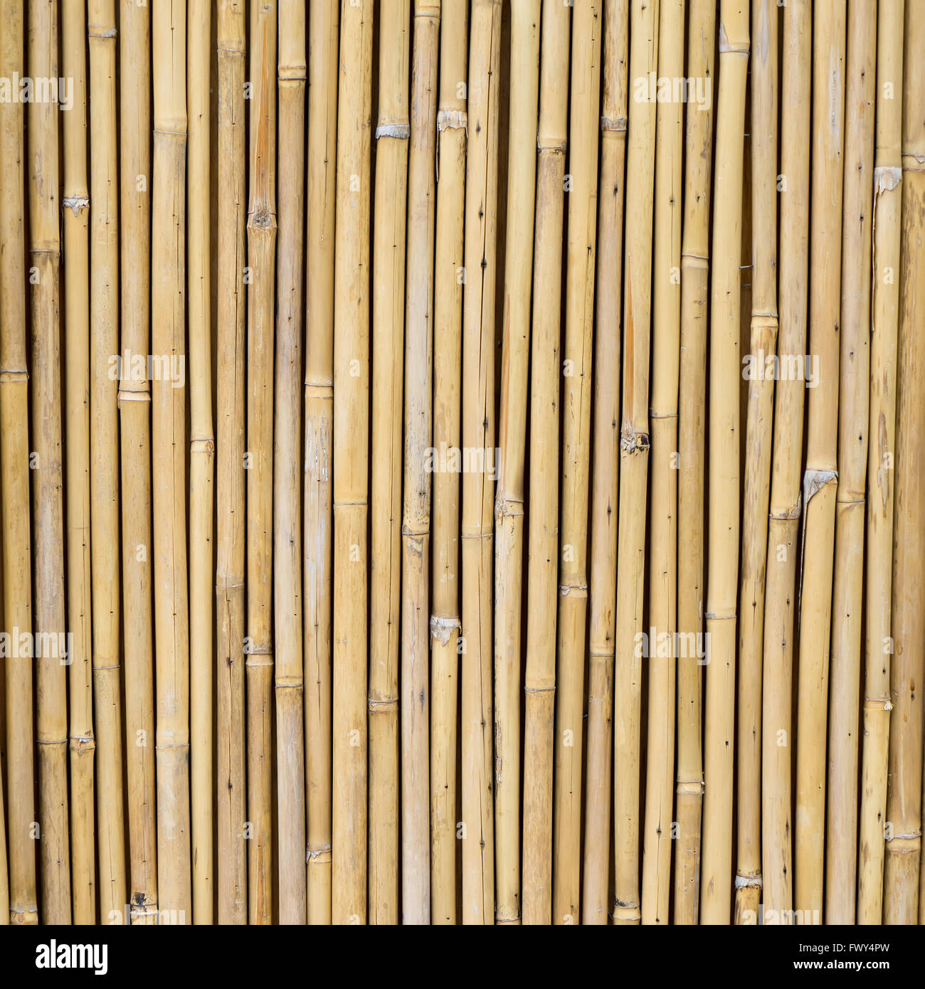 Bamboo fence hi-res stock photography and images - Alamy