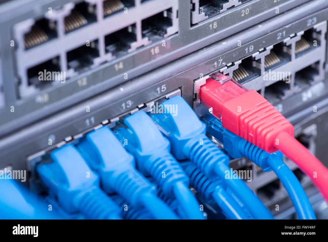 Network switch and ethernet cables,Data Center Concept Stock Photo - Alamy