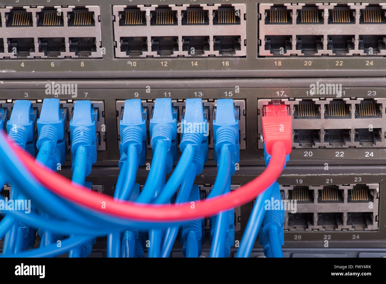 Network switch and ethernet cables,Data Center Concept Stock Photo - Alamy