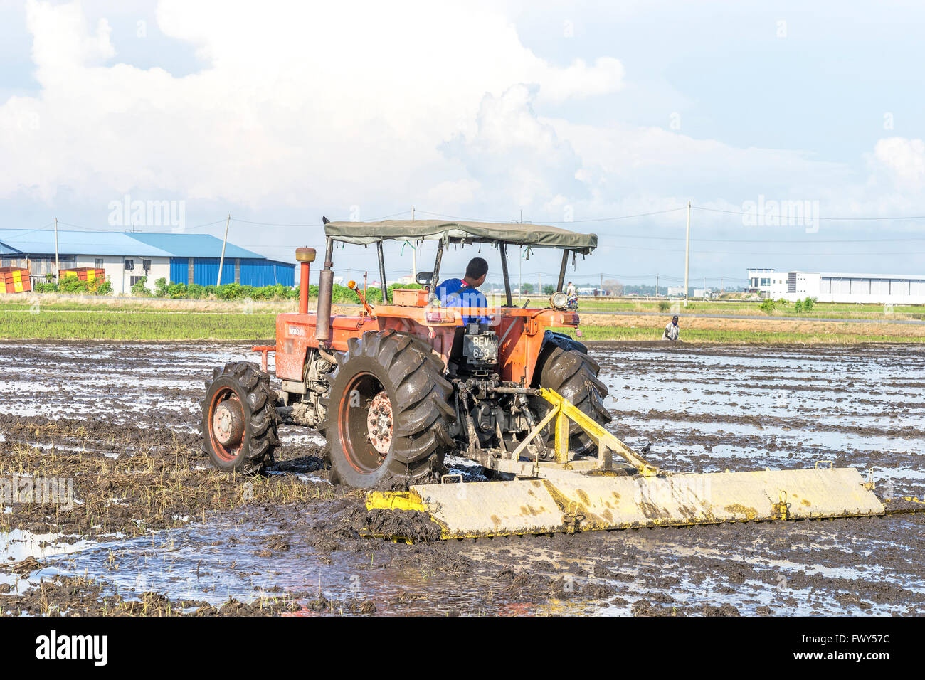 Malaysia working at a rice paddy hi-res stock photography and images ...