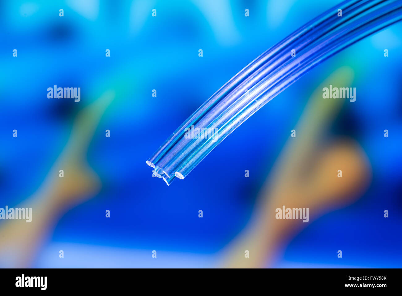 fiber optical network cable Stock Photo - Alamy