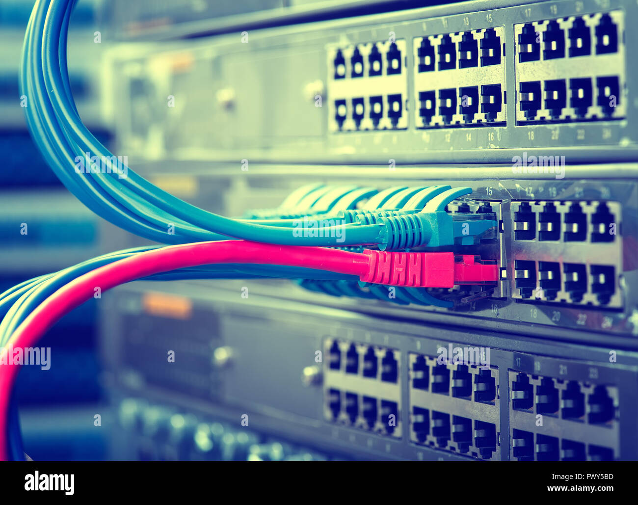 Network switch and ethernet cables,Data Center Concept Stock Photo - Alamy