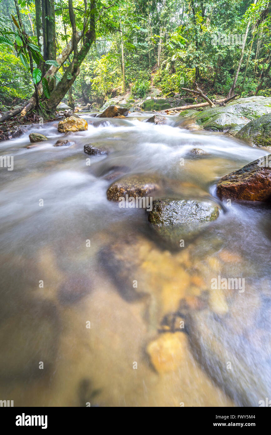 Natural flow of water stream at tropical forest Stock Photo - Alamy