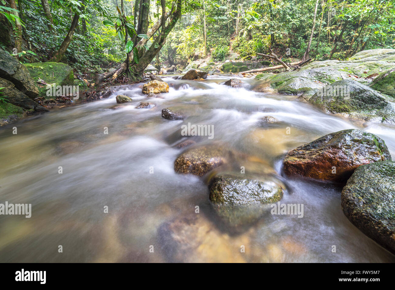 Natural flow of water stream at tropical forest Stock Photo - Alamy