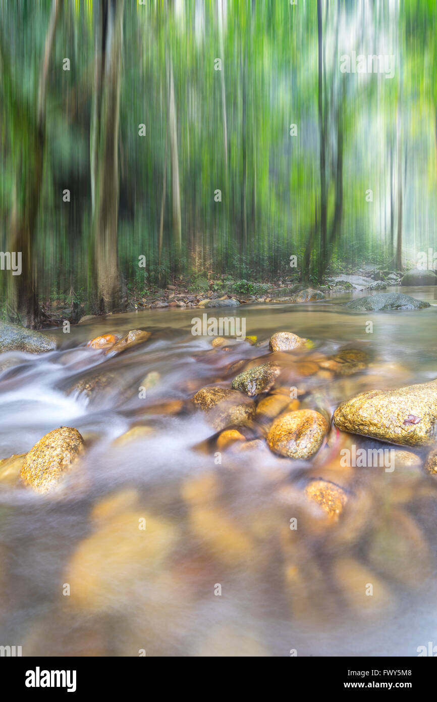 Natural flow of water stream at tropical forest Stock Photo - Alamy