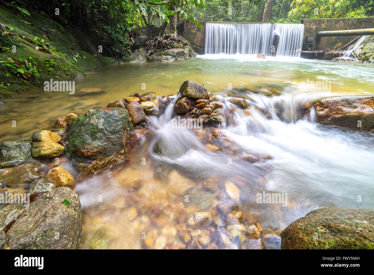 Water stream with waterfall background at tropical forest Stock Photo ...
