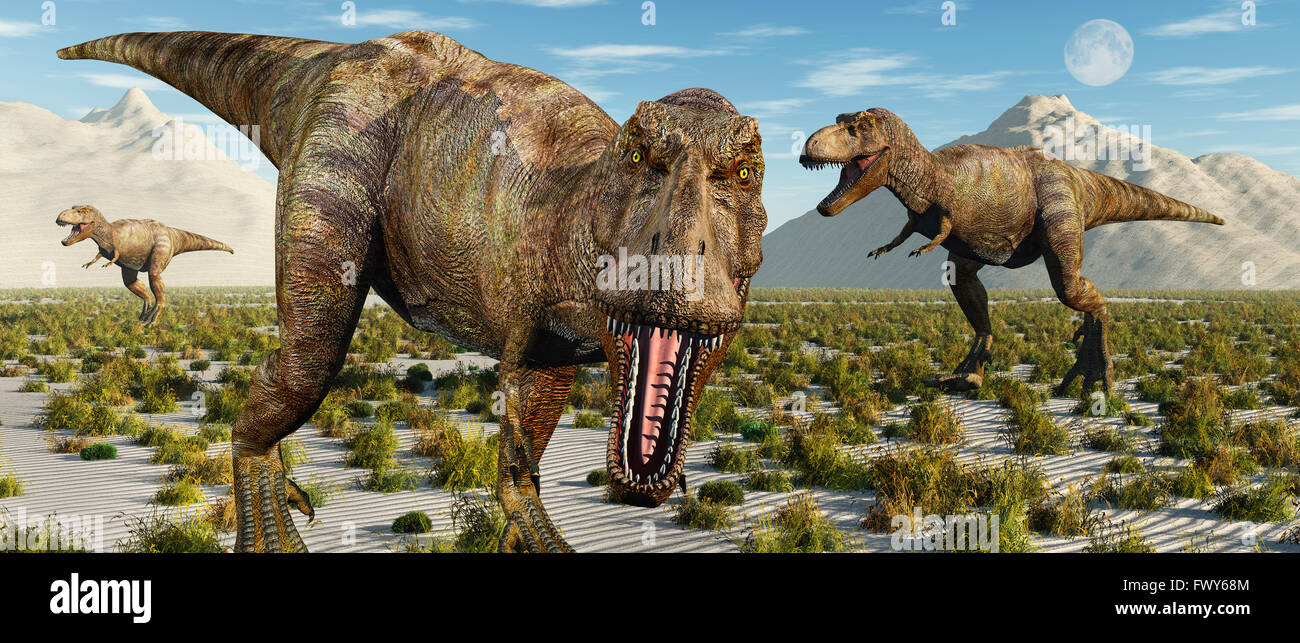 Pack Of T.Rex Dinosaurs Stock Photo - Alamy