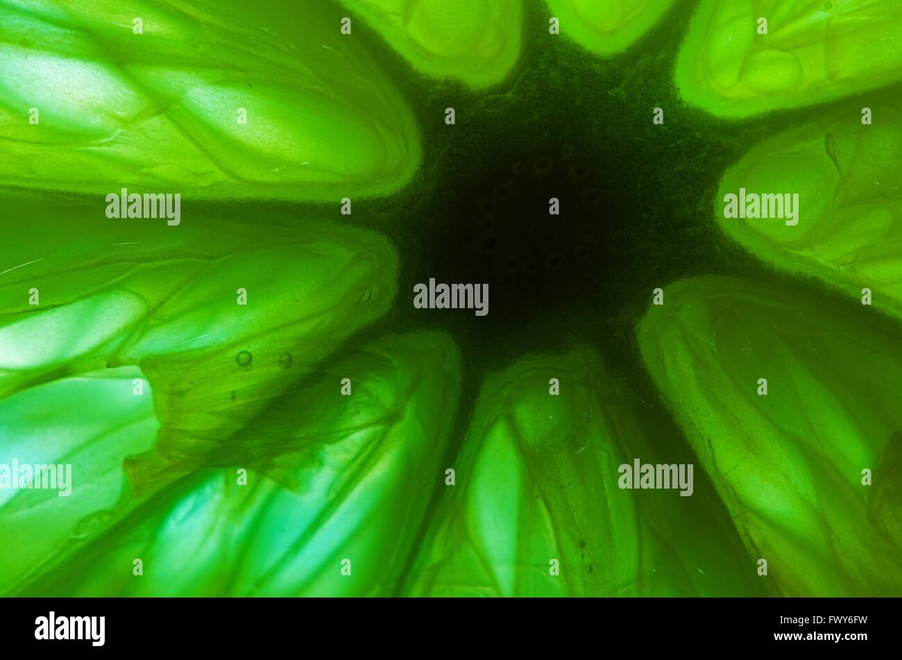 piece of orange in green backlight, abstract background Stock Photo - Alamy