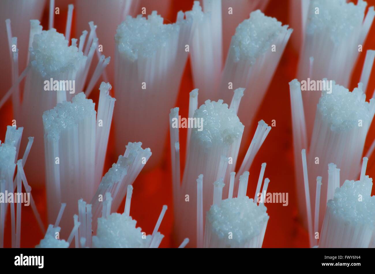 Closeup texture hi-res stock photography and images - Alamy