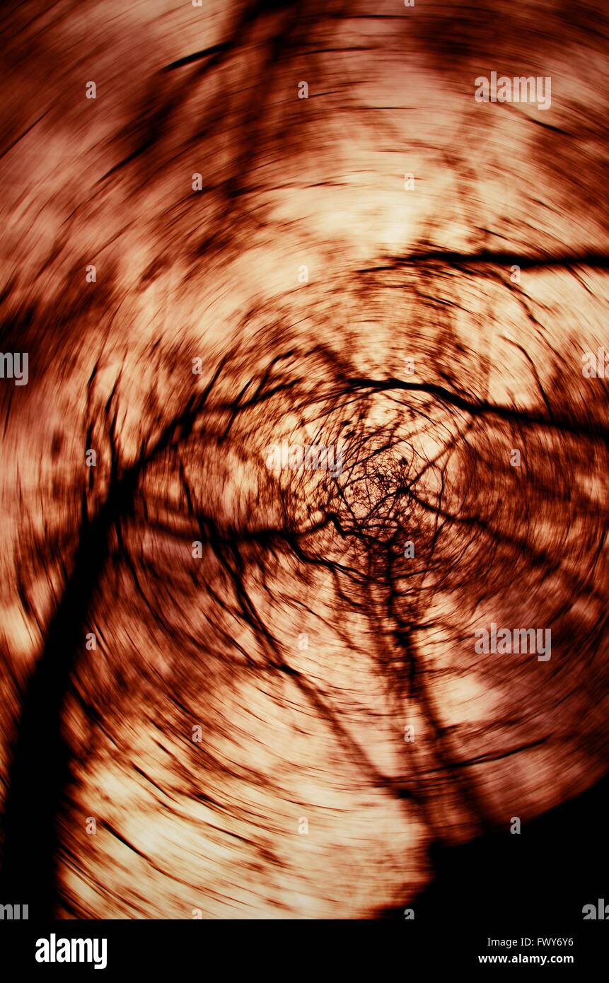 Tree inferno vortex on red background sky Stock Photo - Alamy