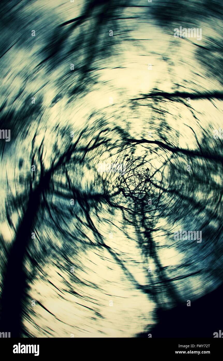 Trees vortex on side sun light sky background Stock Photo - Alamy
