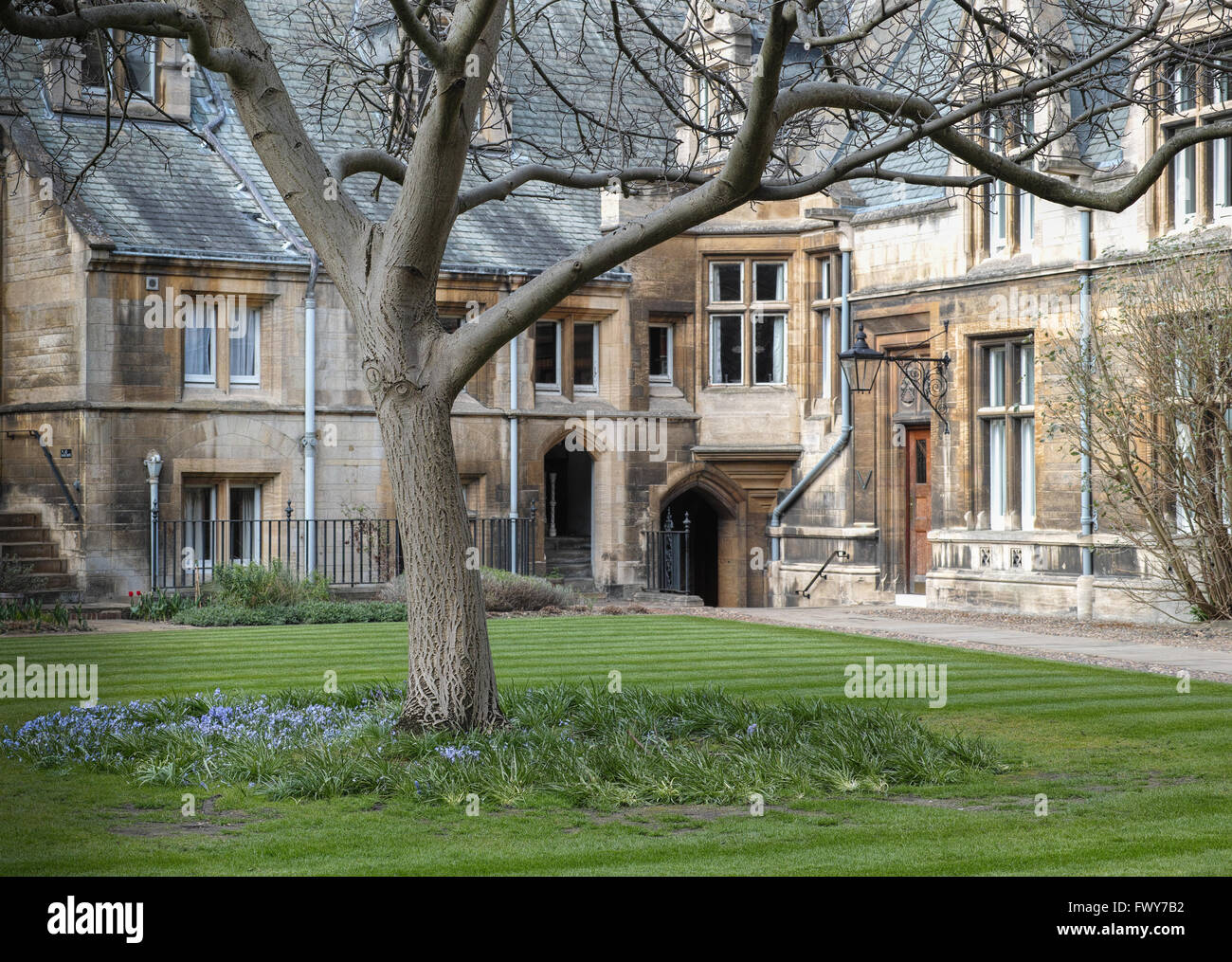 Spring cambridge university hi-res stock photography and images - Alamy