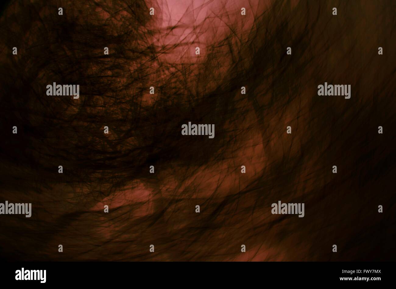 Trees vortex on side sun light sky background Stock Photo - Alamy
