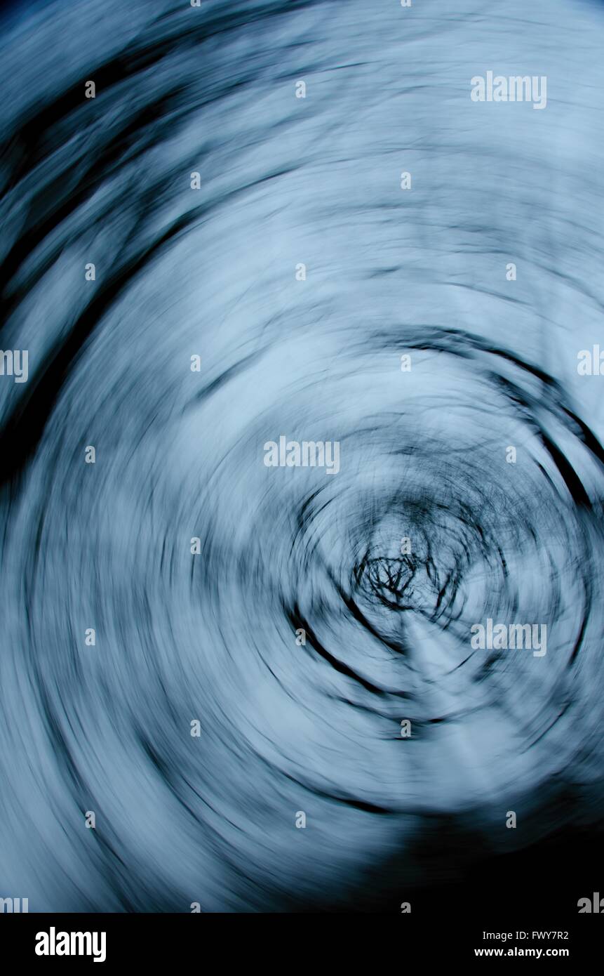 Trees vortex in side sun light, sky background Stock Photo - Alamy