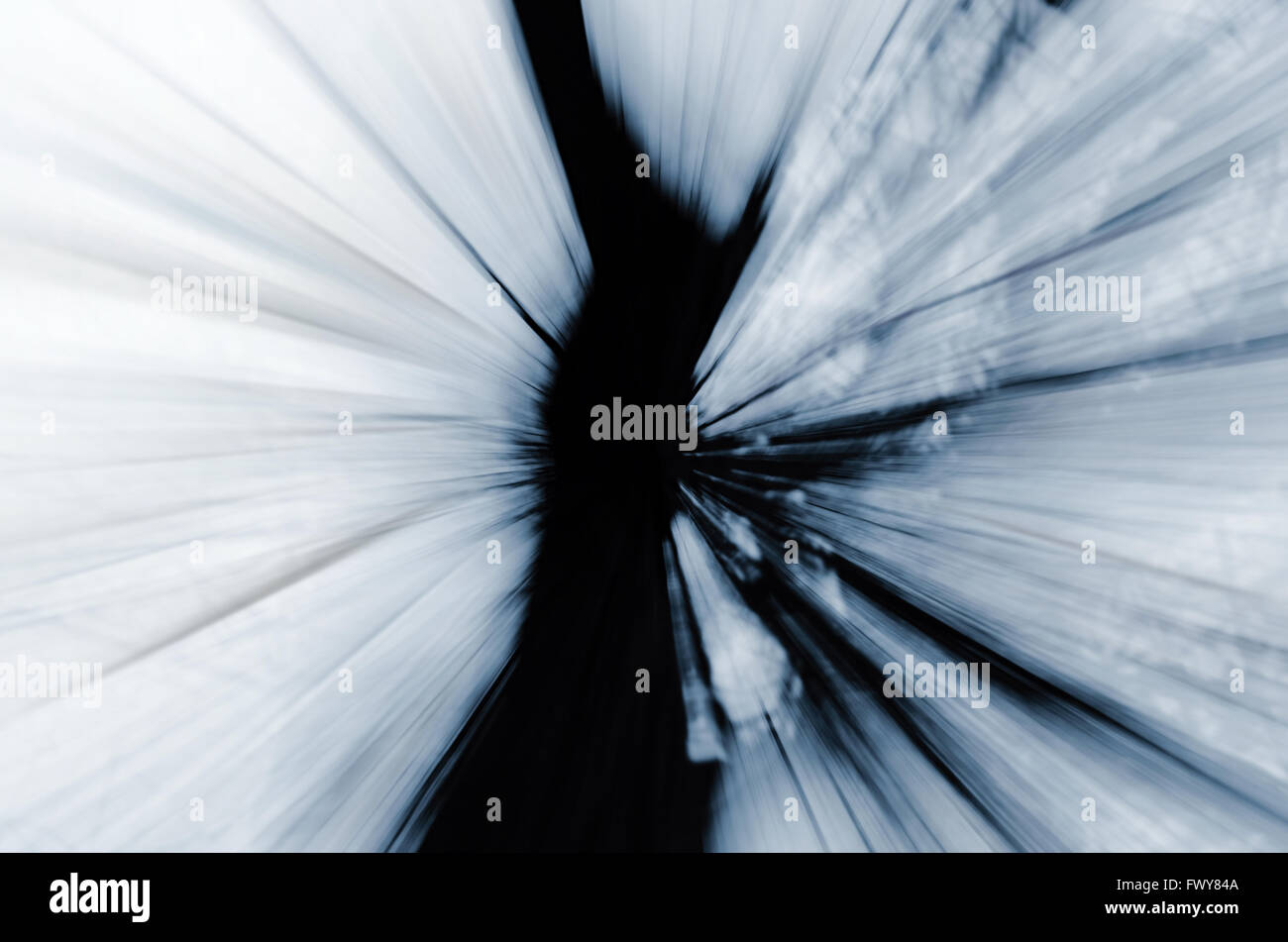 Blur trees in side sun light, sky background Stock Photo - Alamy